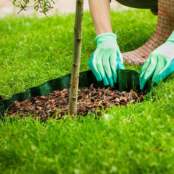 The Best Time to Install Mulch